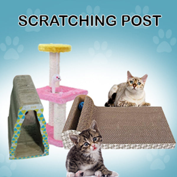CAT SCRATCHING BOARD