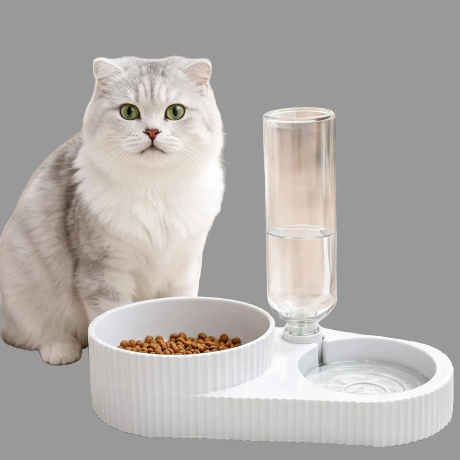 Automatic Pet Feeder Water Dispenser 3-in-1